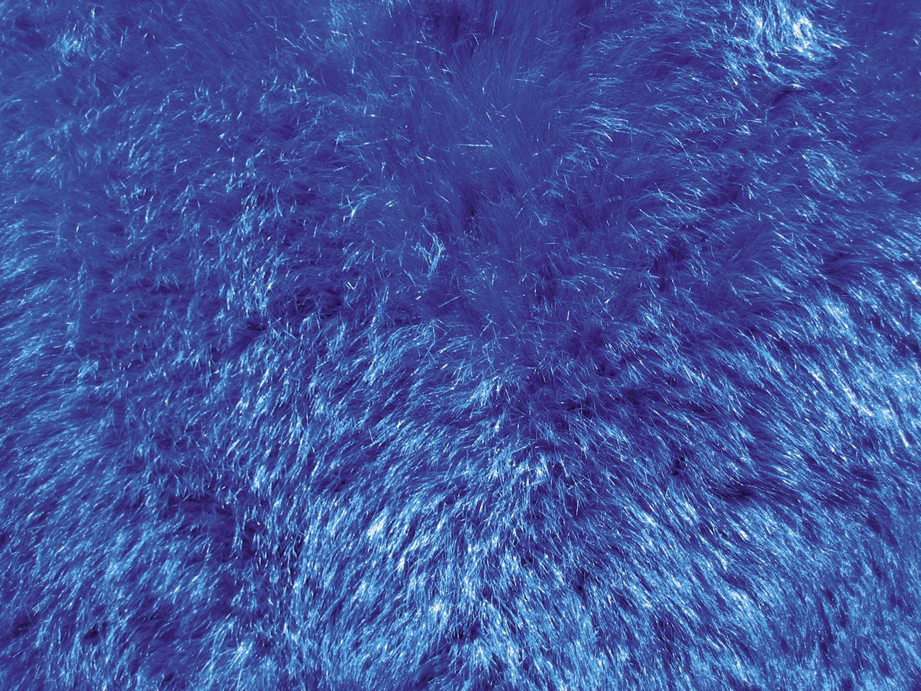 LA Rugs Flokati Dark Blue Flokati 31 x 47 inch Area Rug