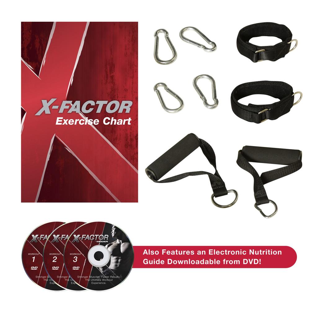 Weider X-Factor Door Gym