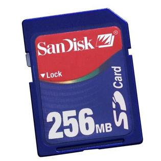 SanDisk Secure Digital (SD) Card, 256MB - TVs & Electronics - Computers ...