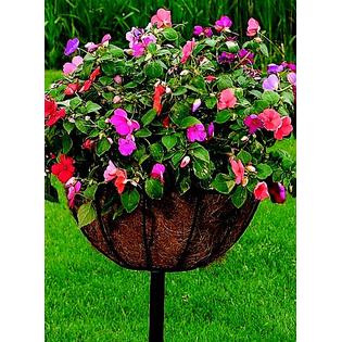 Cobraco Canterbury Stake Planter - Outdoor Living - Outdoor Decor ...