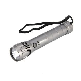 DieHard 6AAA 300 Lumen LED DieHard Flashlight - Fitness & Sports ...