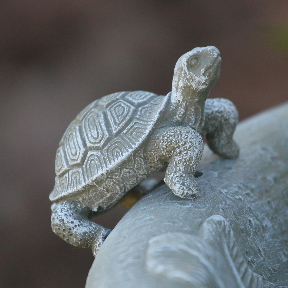 Smart Solar Country Gardens Birdbath Fountain with Turtles - Grey ...