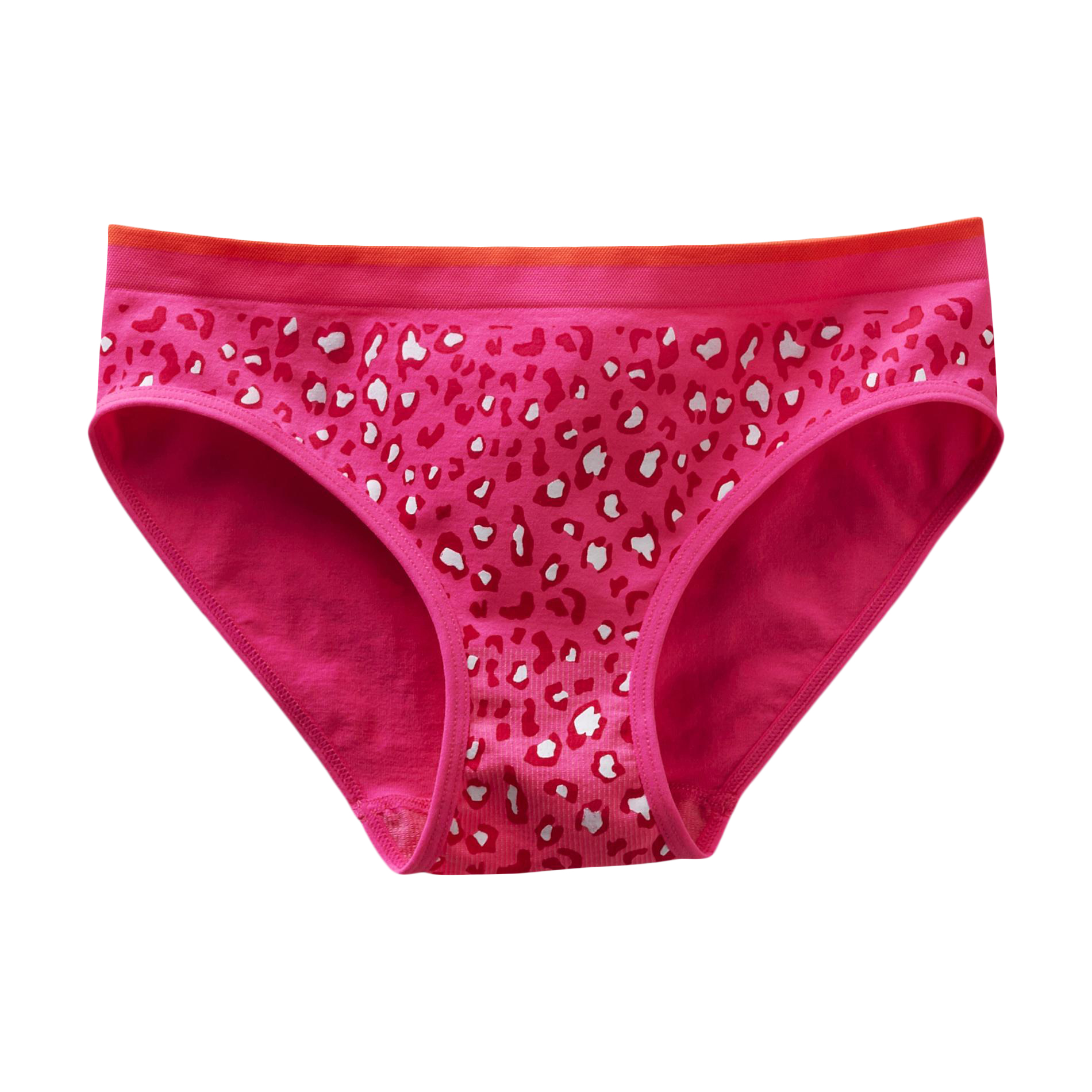 Maidenform Girls Hipster Panties Leopard Print