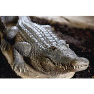Large Alligator Statue - Outdoor Living - Outdoor Decor - Lawn ...