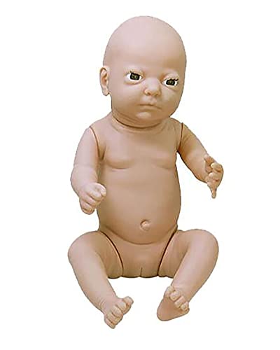 Eagao Realistic Baby Doll Model Newborn Fetus Care Simulator Baby Care ...