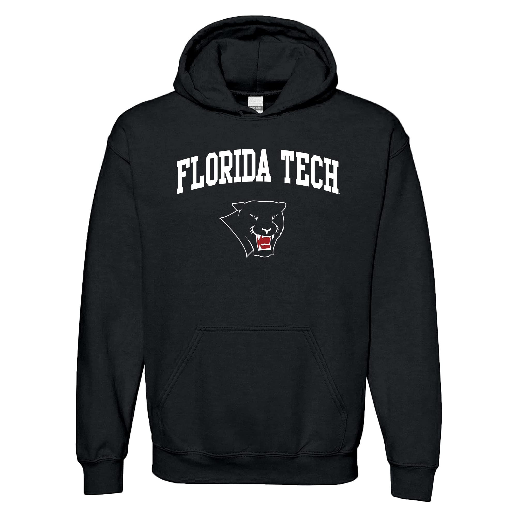 UGP Campus Apparel AH03 - Florida Tech Panthers Arch Logo HOODIE - 2X ...