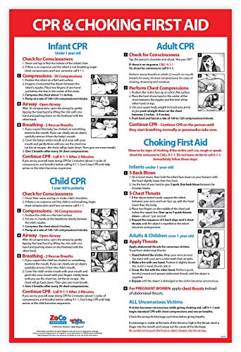 Safety Magnets CPR and Choking Poster - Choking Poster for Restaurant ...