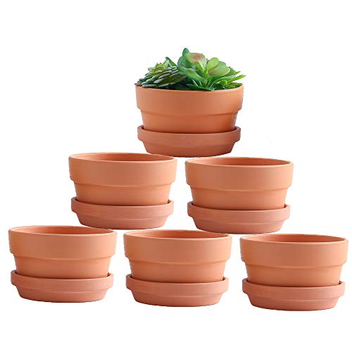Yishang 5 Inch Shallow Terracotta Clay pots with Drain Hole,Ceramic ...