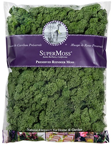 Super Moss SuperMoss (25154) Reindeer Moss Preserved Bag, 16 oz, Basil