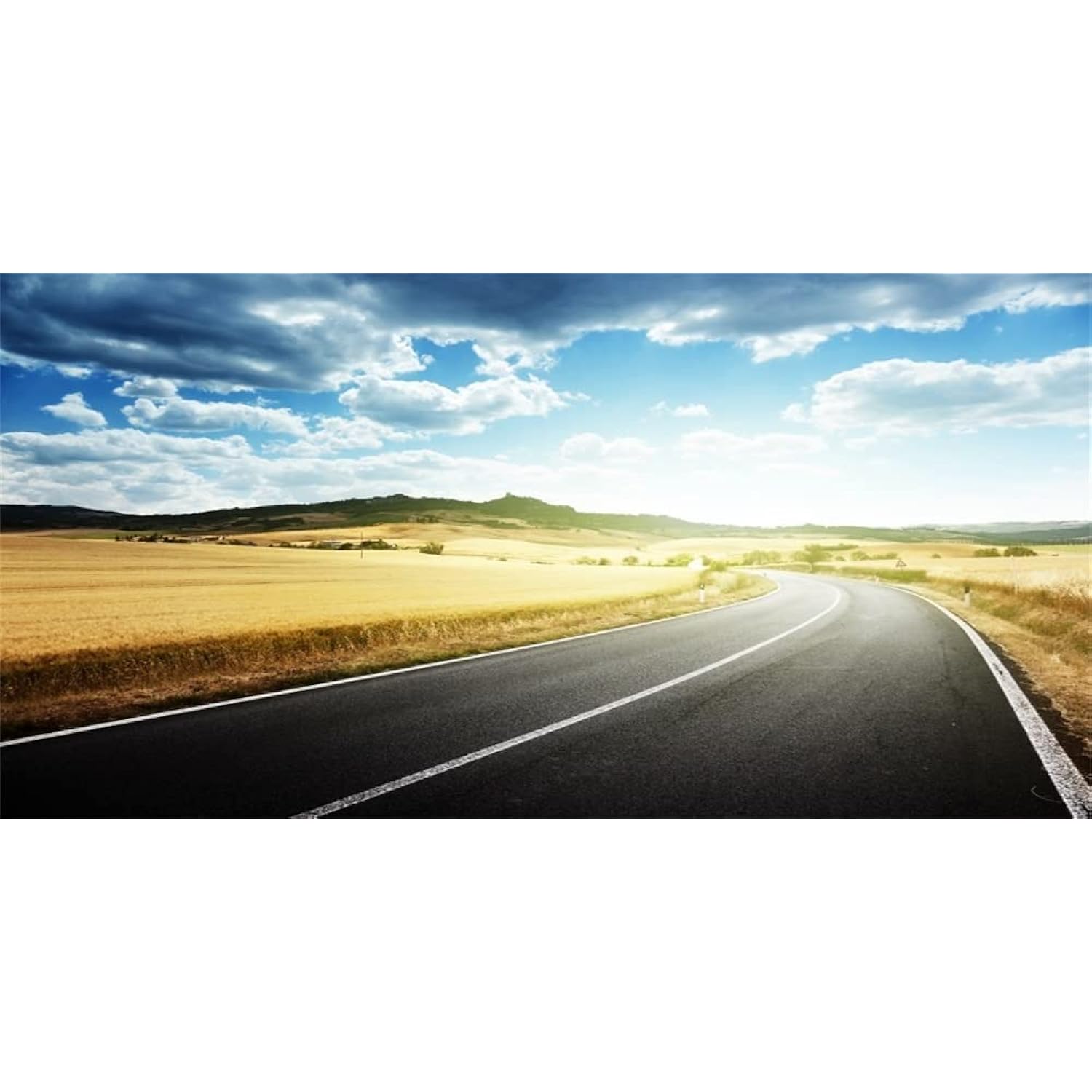 thinkstar 12X6Ft Endless Highway Backdrop Country Field Blue Sky Nature ...