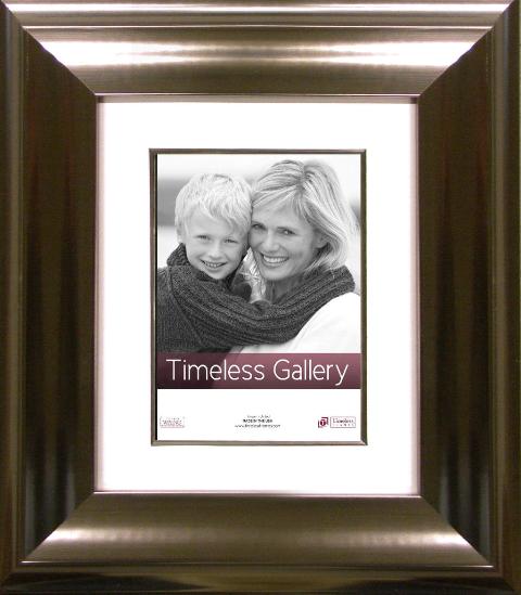 Timeless Frames 78265 Elise Stainless Wall Frame- 16 x 20 in.