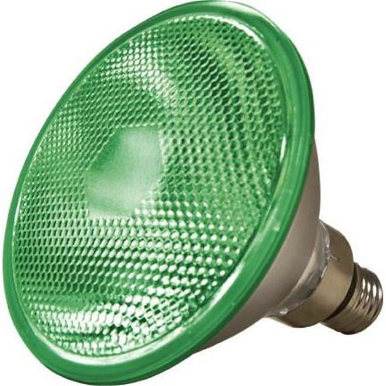 Intense PAR38 Type Medium Base 100 watt MH Green 120 V Lamp