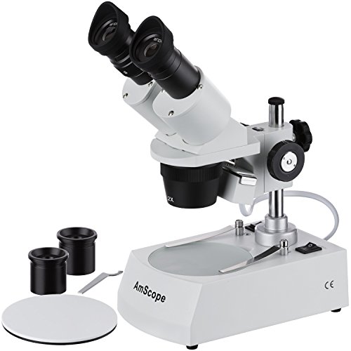 stereoscopic microscope magnification