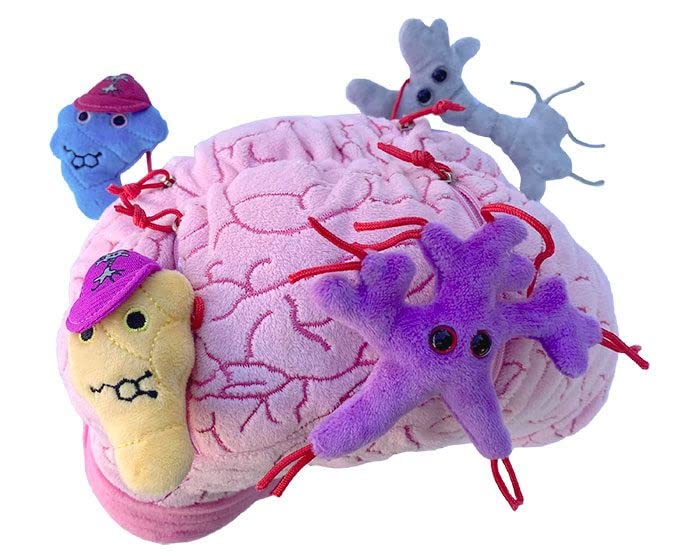 Giant Microbes gIANTmicrobes Deluxe Brain with Plush Neurons and ...
