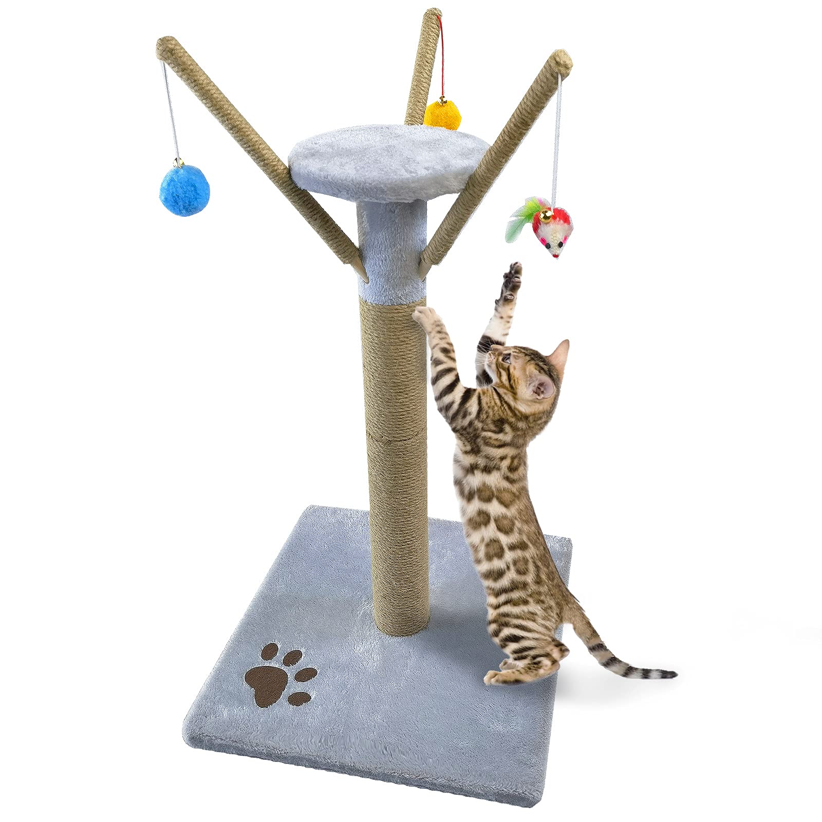 Shellkingdom Cat Scratching Post, 24 inch Sisal Kitten Scratcher Tree ...