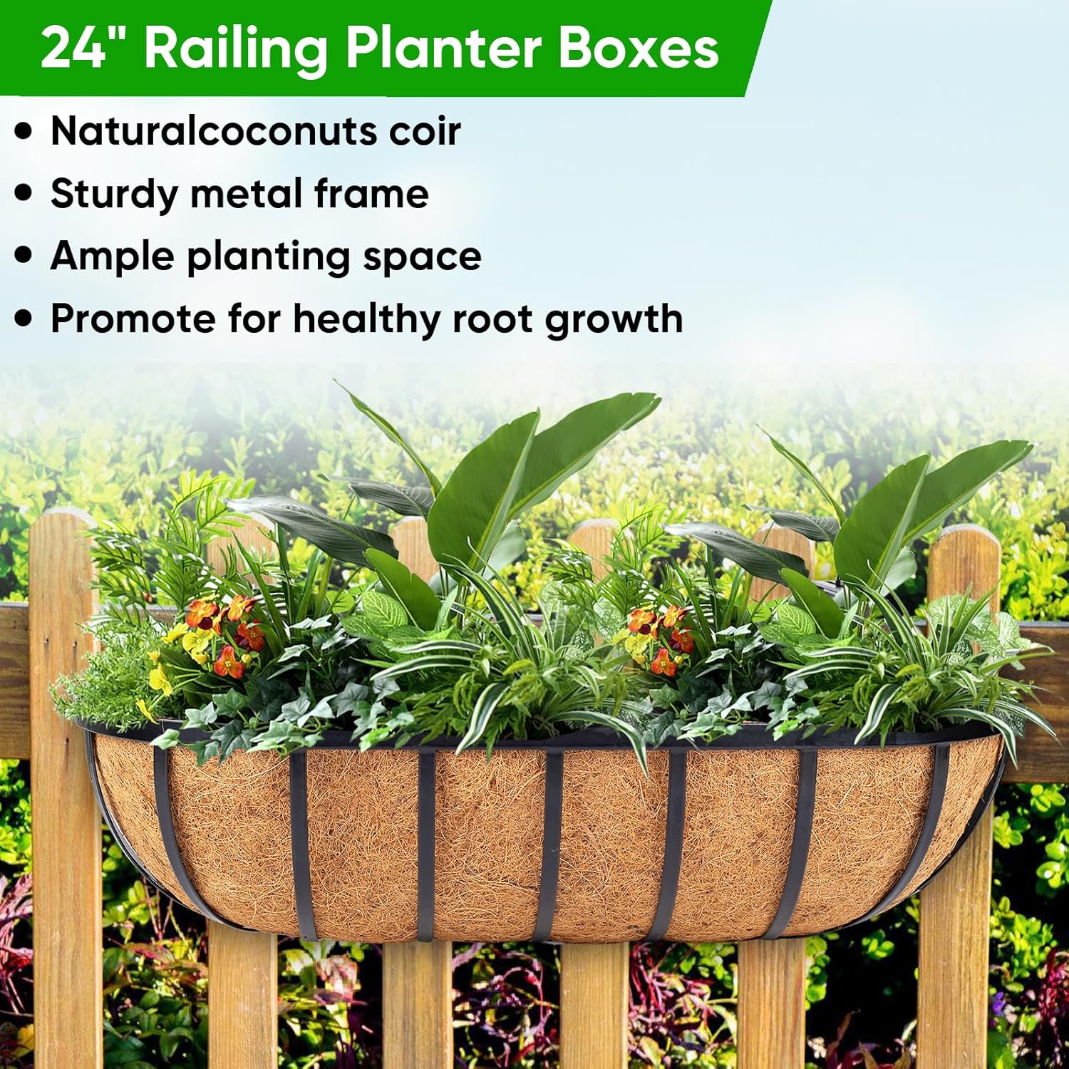 window planter boxes kmart