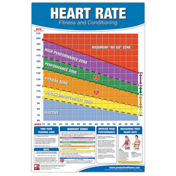 Productive Fitness Poster Series - Training Heart Rate Chart for At ...
