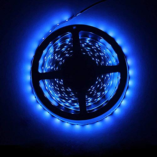 iNextStation Water-Resistance IP65, 12V Waterproof Flexible LED Strip ...