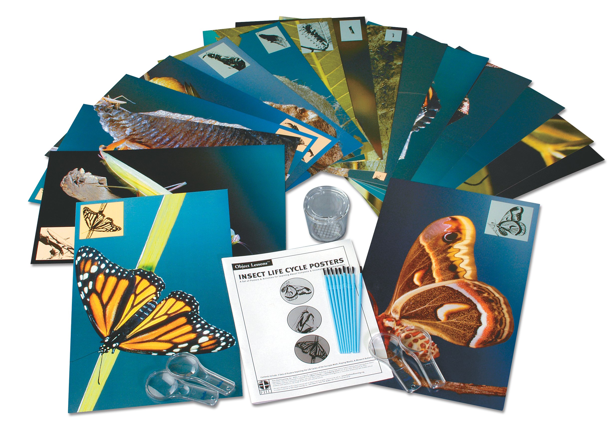 NeoSci Corporation Neo Sci Insect Life cycle Lab Investigation