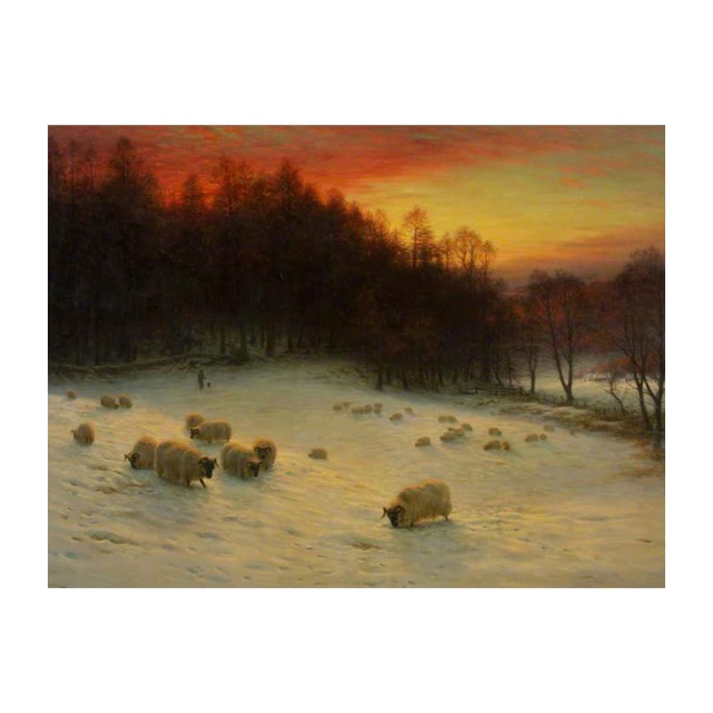 MRccS Paint by Numbers for Kids Kits - Sheep Animal Farm cute - Paint ...