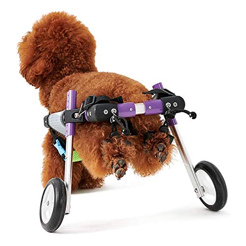 FDSH 2 Wheel Pet Wheelchair Walk Traction Rope cart Kit for Handicapped ...