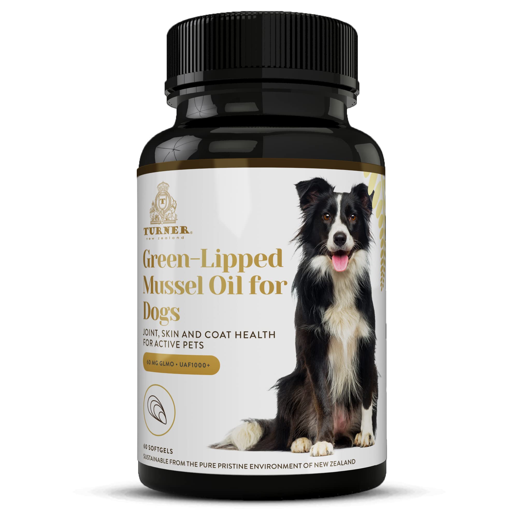 TURNER gLMO for Dogs - green-Lipped Mussel Oil Plus UAF1000+ for Dogs ...