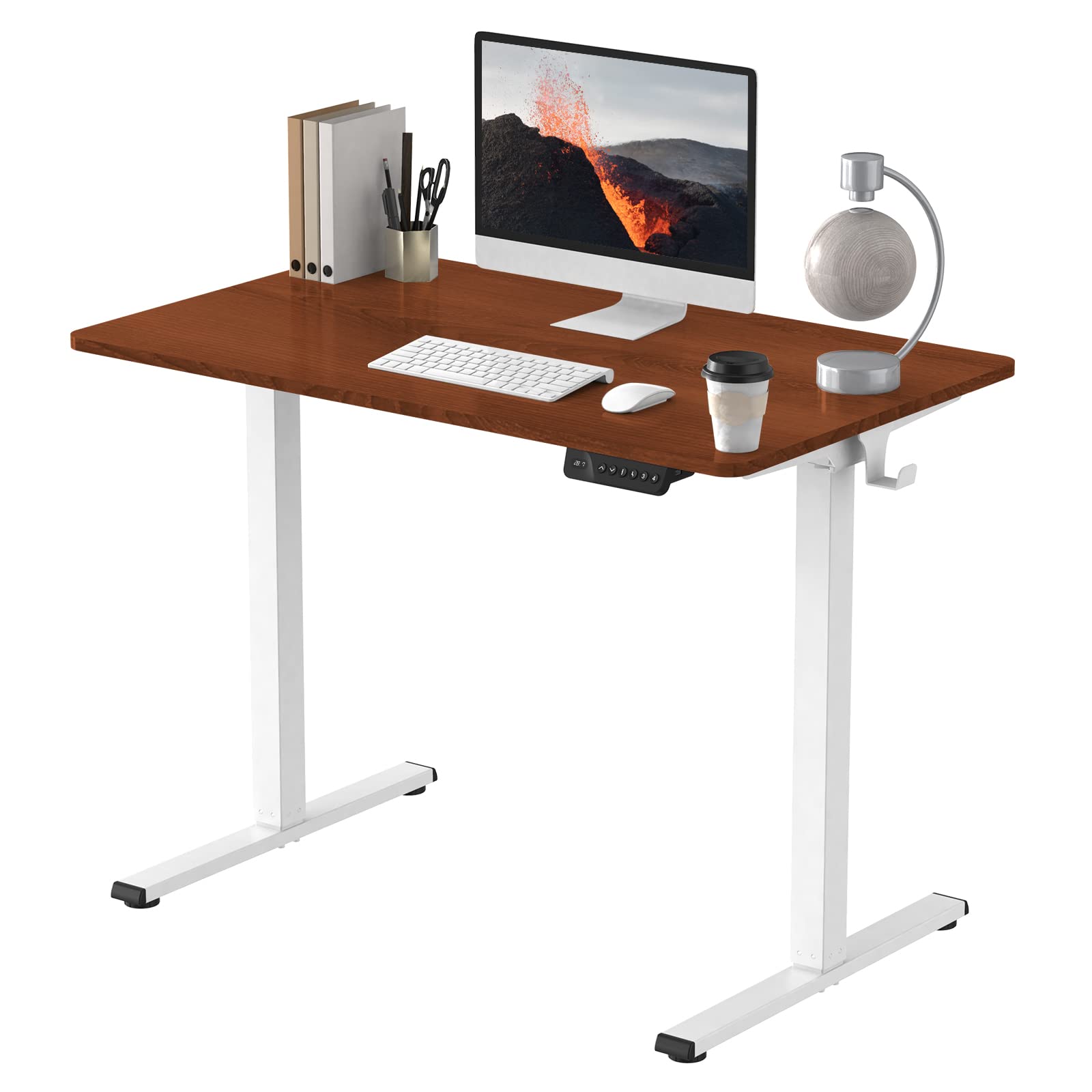 Flexispot Standing Desk Electric Stand Up Desk With 40 X 24 Inches ...